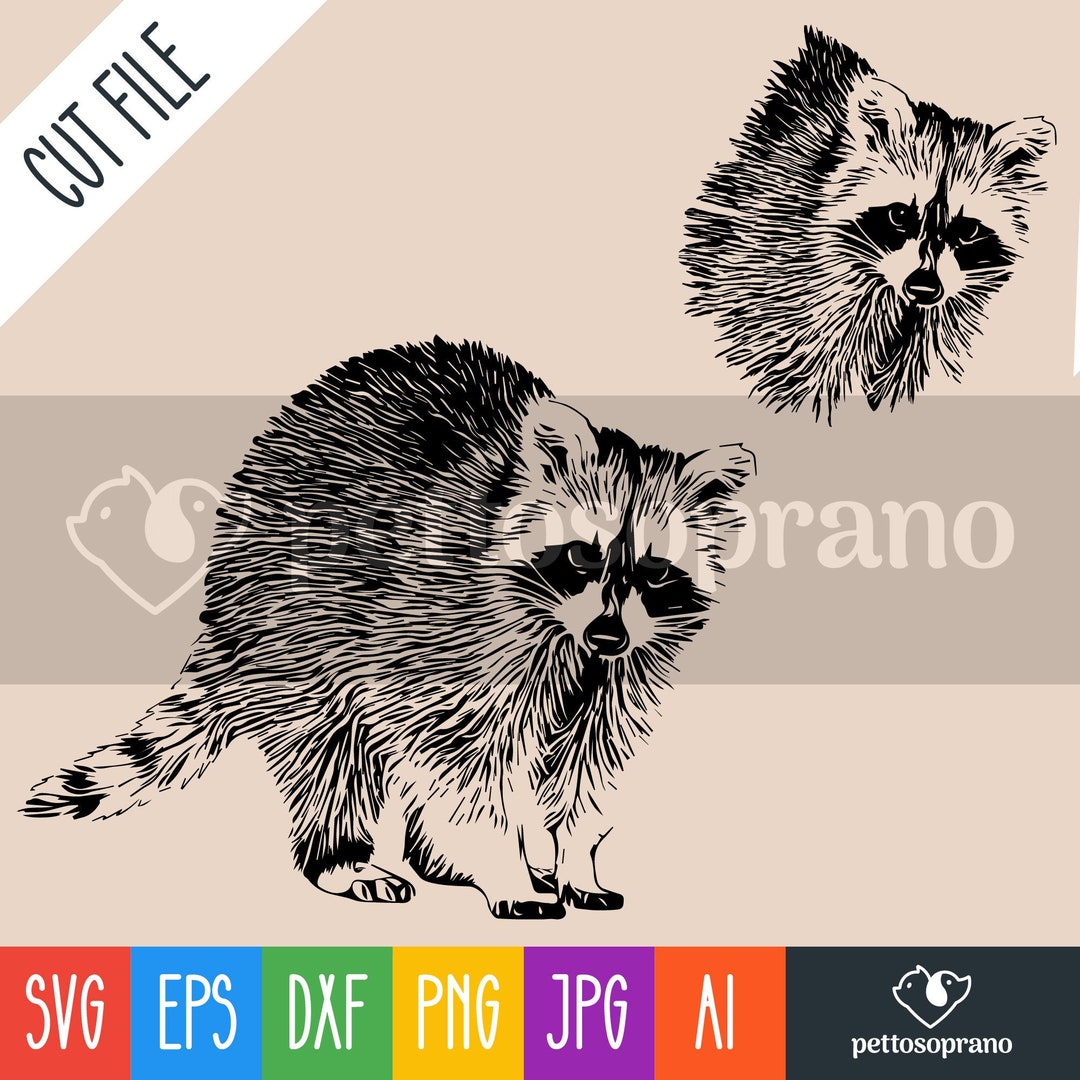 Raccoon Svg,png,ai,eps,dxf,jpg Digital Download File Silhouette,clipart ...