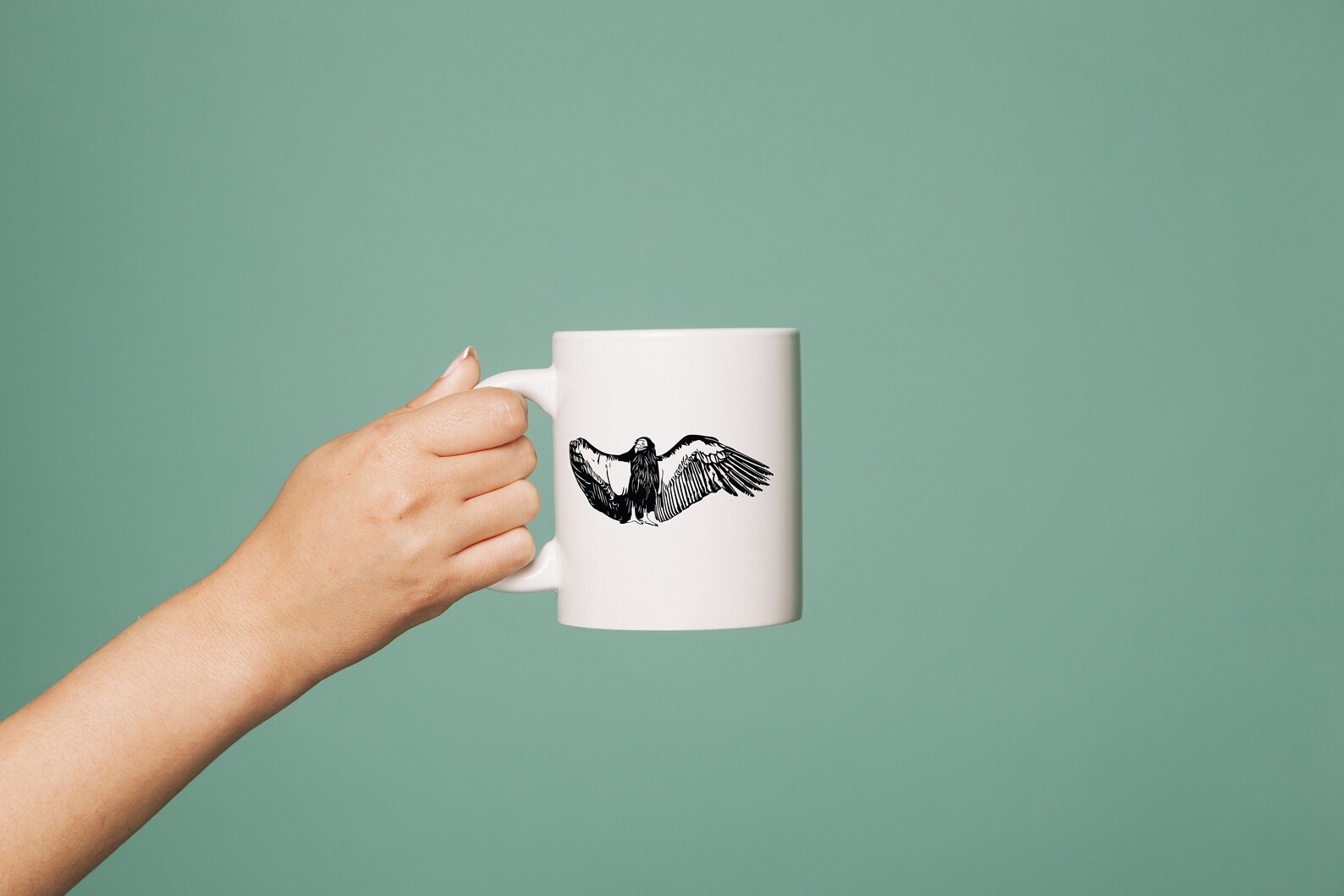 California Condor Instant Digital Downloadable File for Silhouette ...