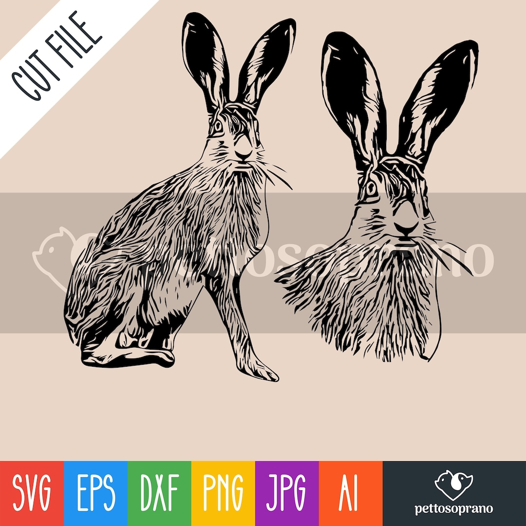Hare Instant Digital Downloadable File for Silhouette,clipart,vector ...