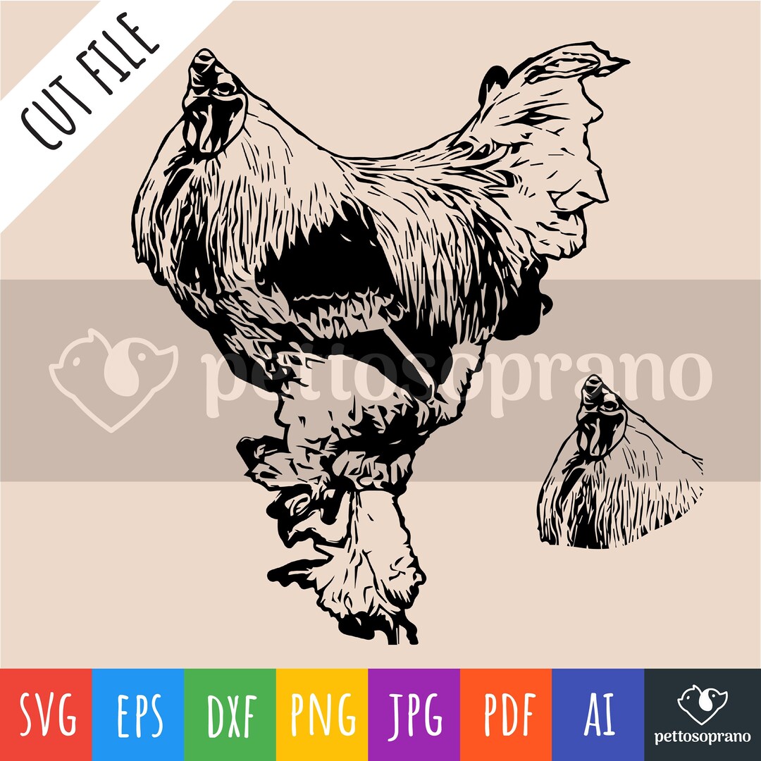 Brahma Chicken Instant Digital Downloadable File for Silhouette,clipart ...