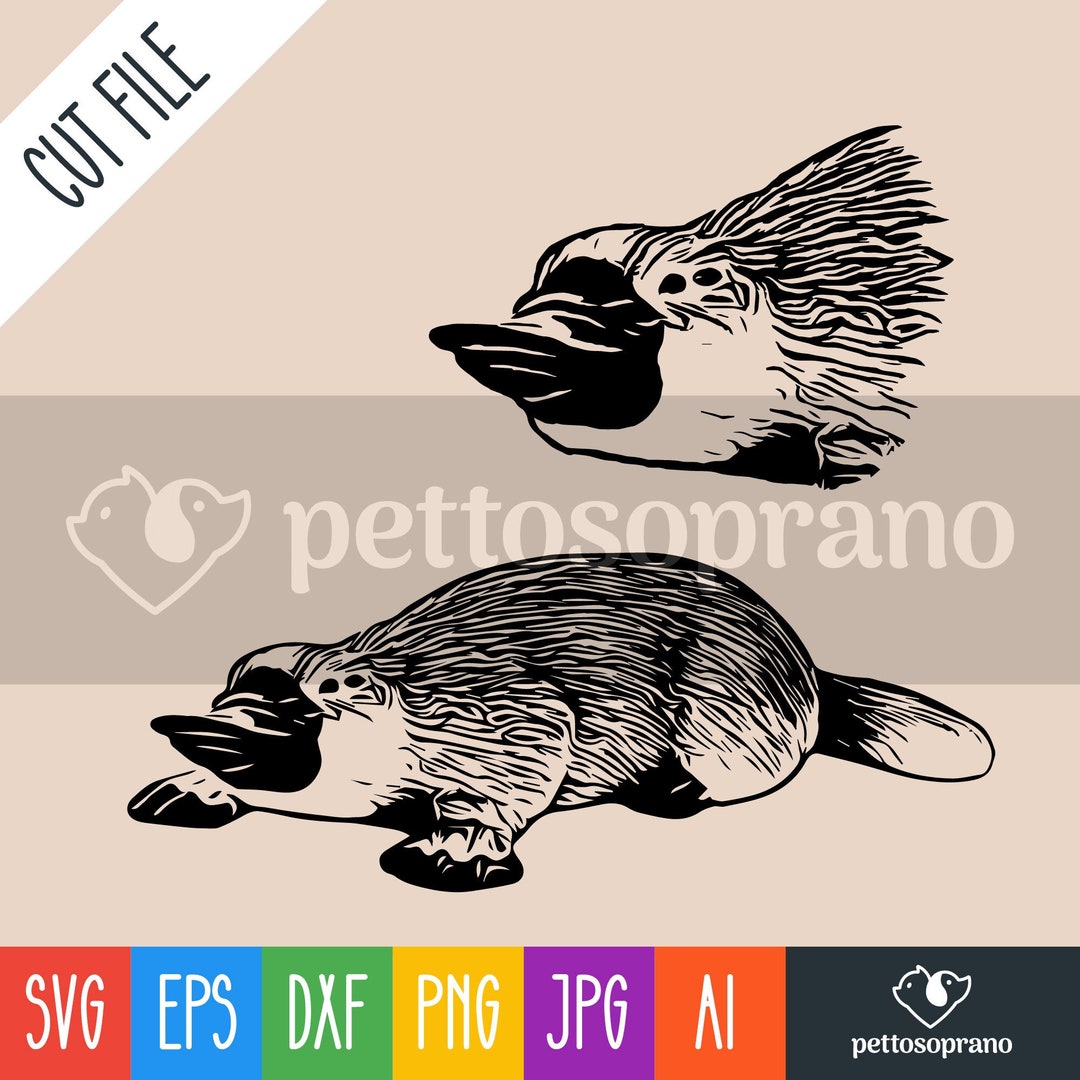 Ornitorenk Platypus Instant Digital Downloadable File for Silhouette ...