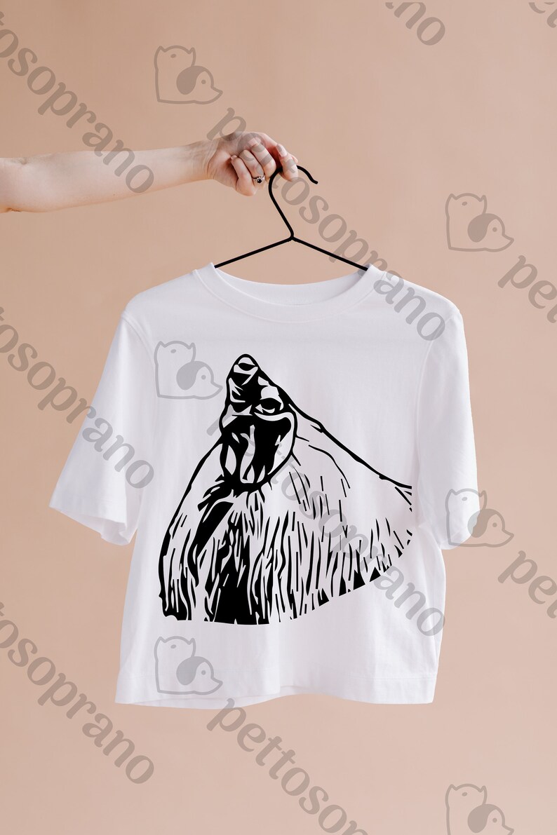 Brahma Chicken Instant Digital Downloadable File for Silhouette,clipart ...