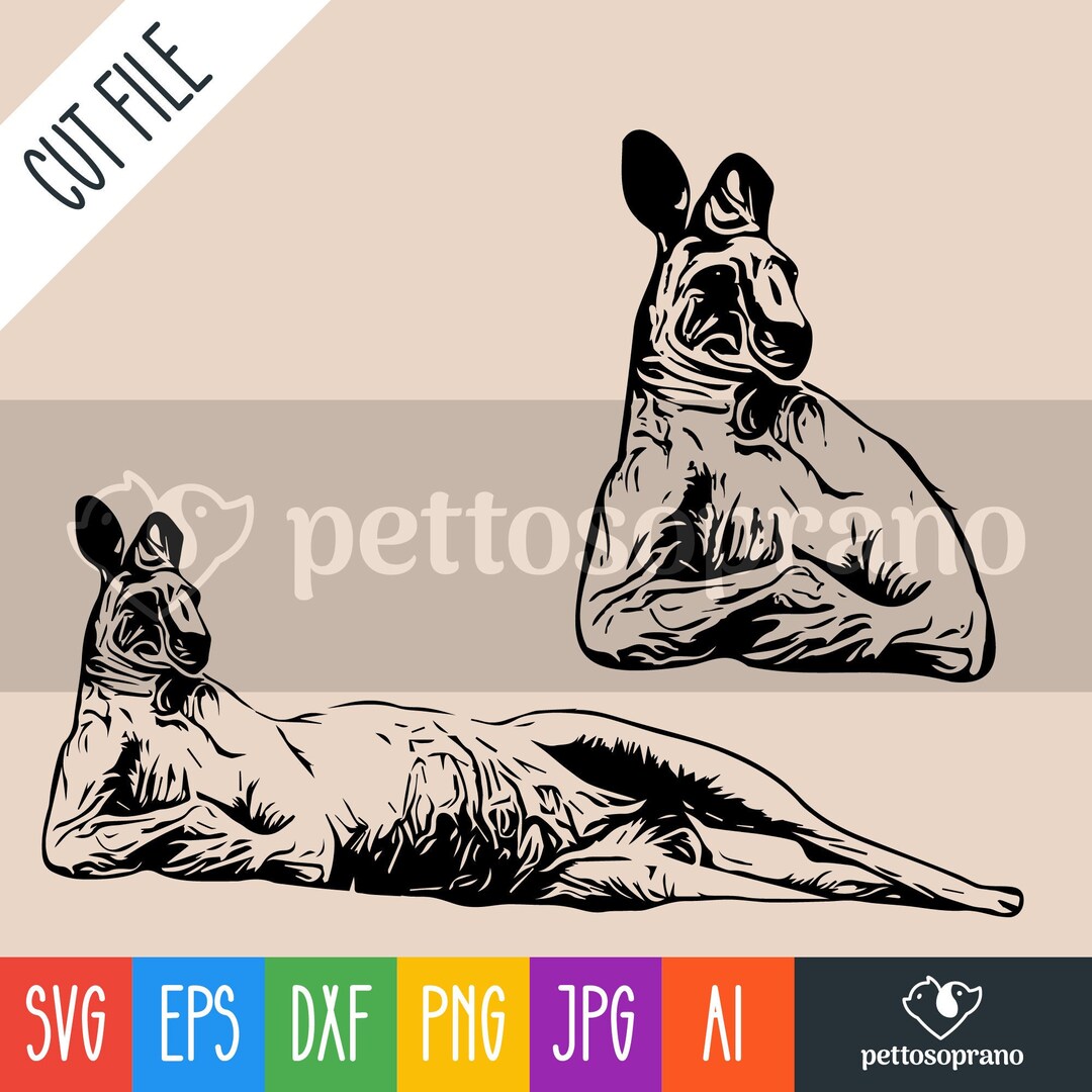 Kangaroo Svg,png,ai,eps,dxf,jpg Digital Download File Silhouette ...