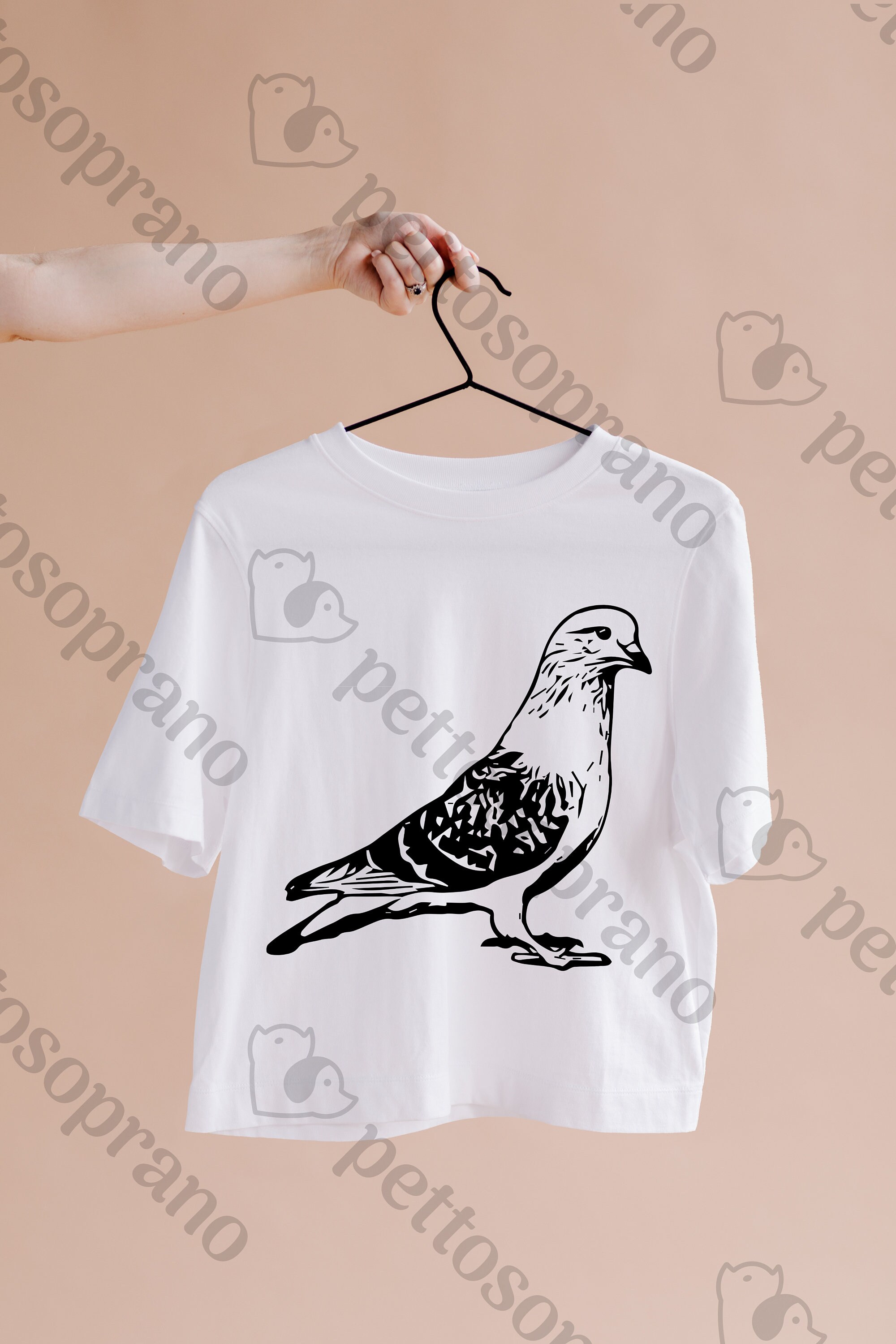 Indian Gola Pigeon Instant Digital Downloadable File for Silhouette ...