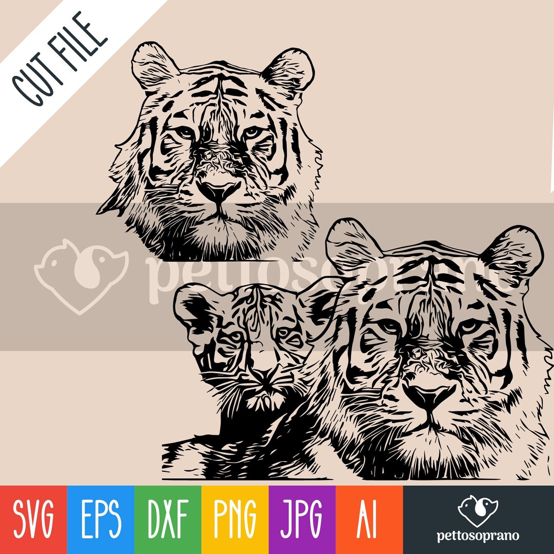 South China Tiger Svg,png,ai,eps,dxf,jpg Digital Download File ...