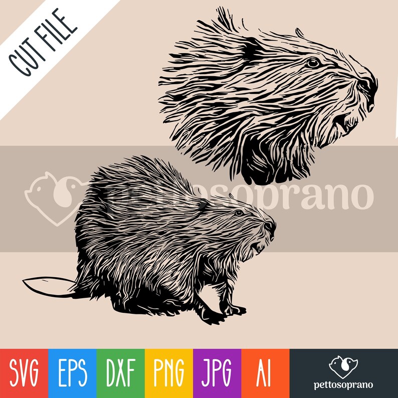 Beaver Instant Digital Downloadable File for Silhouette,clipart,vector ...