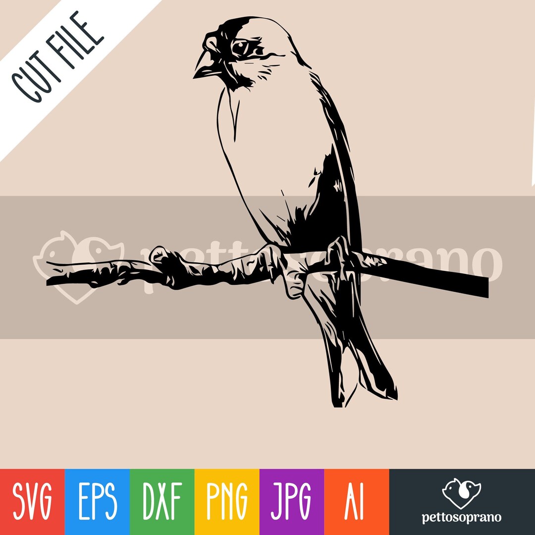 American Goldfinch Instant Digital Downloadable File for Silhouette ...