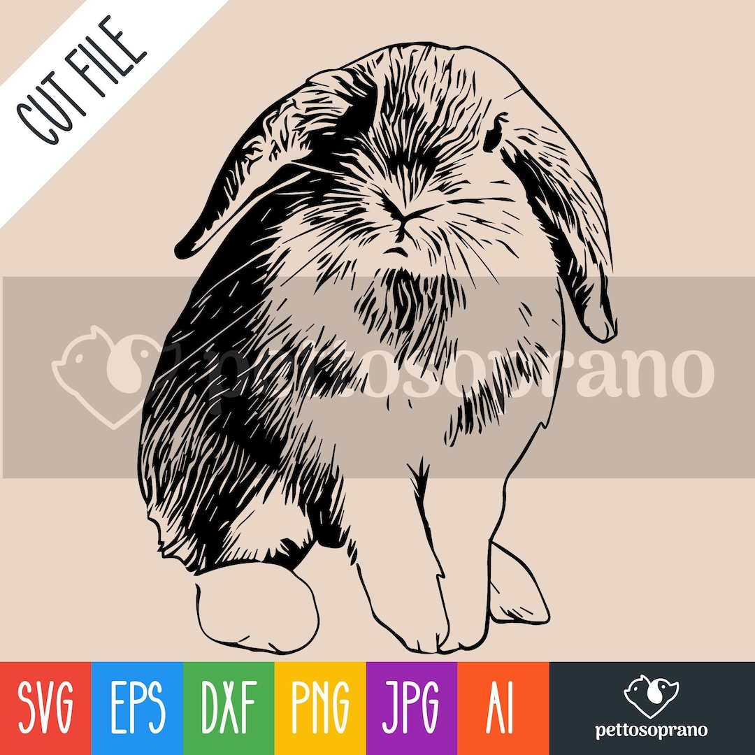 Mini Lop Rabbit Instant Digital Downloadable File for Silhouette ...