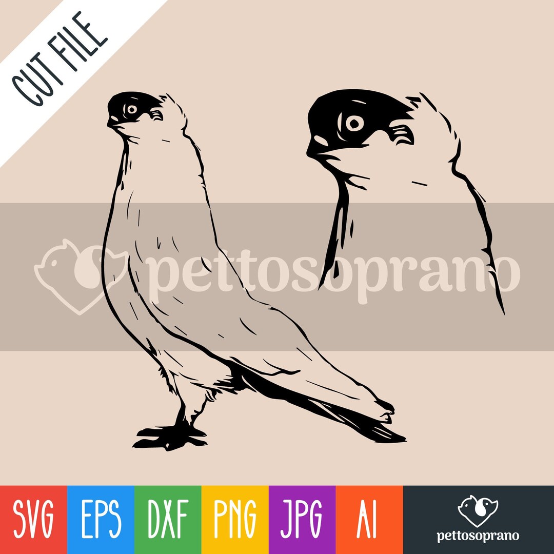 Modena Pigeon Instant Digital Downloadable File for Silhouette,clipart ...