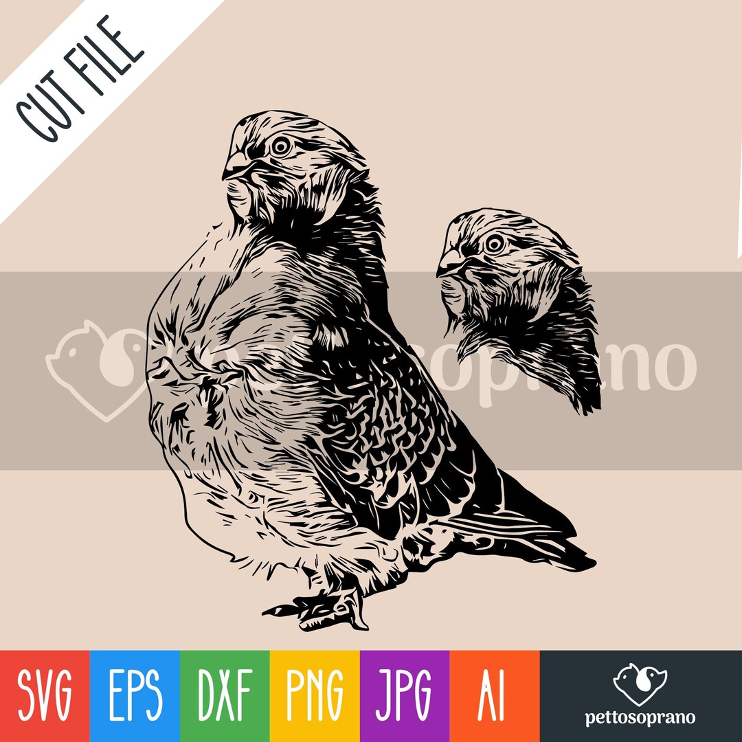 Chinese Own Pigeon Instant Digital Downloadable File for Silhouette ...