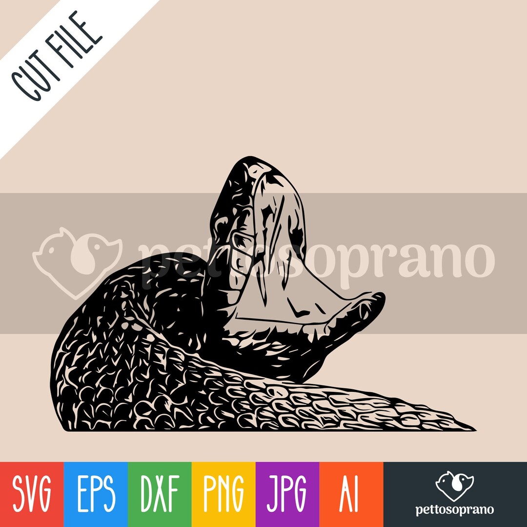 Cottonmouth Moccasin Snake Instant Digital Downloadable File for ...