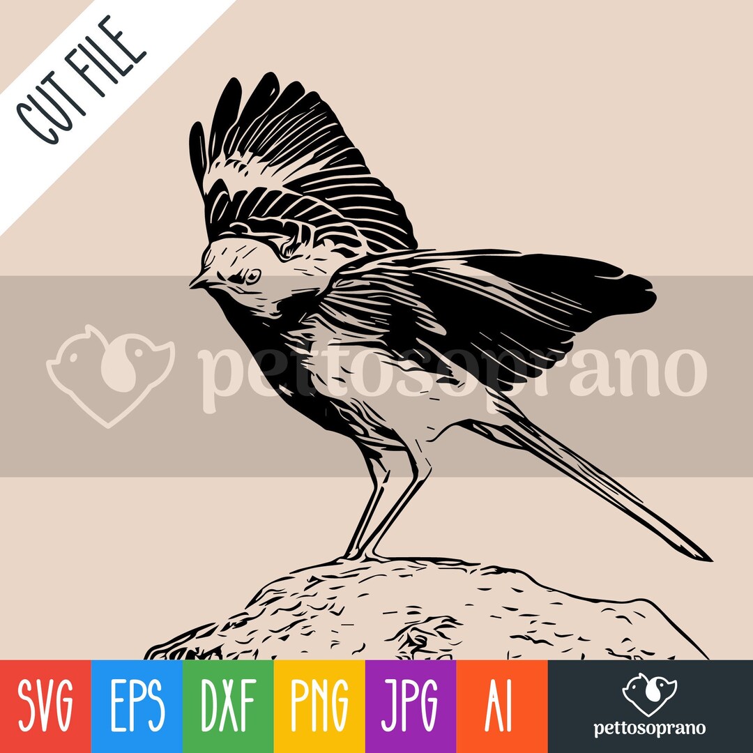 Northern Mockingbird Instant Digital Downloadable File for Silhouette ...