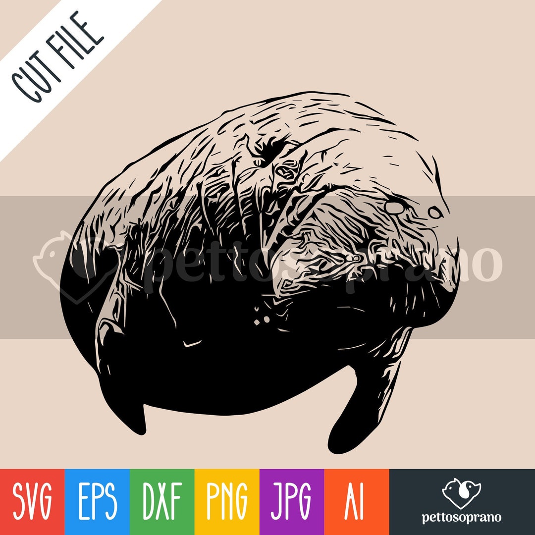 Manatee Svg,png,ai,eps,dxf,jpg Digital Download File Silhouette,clipart ...