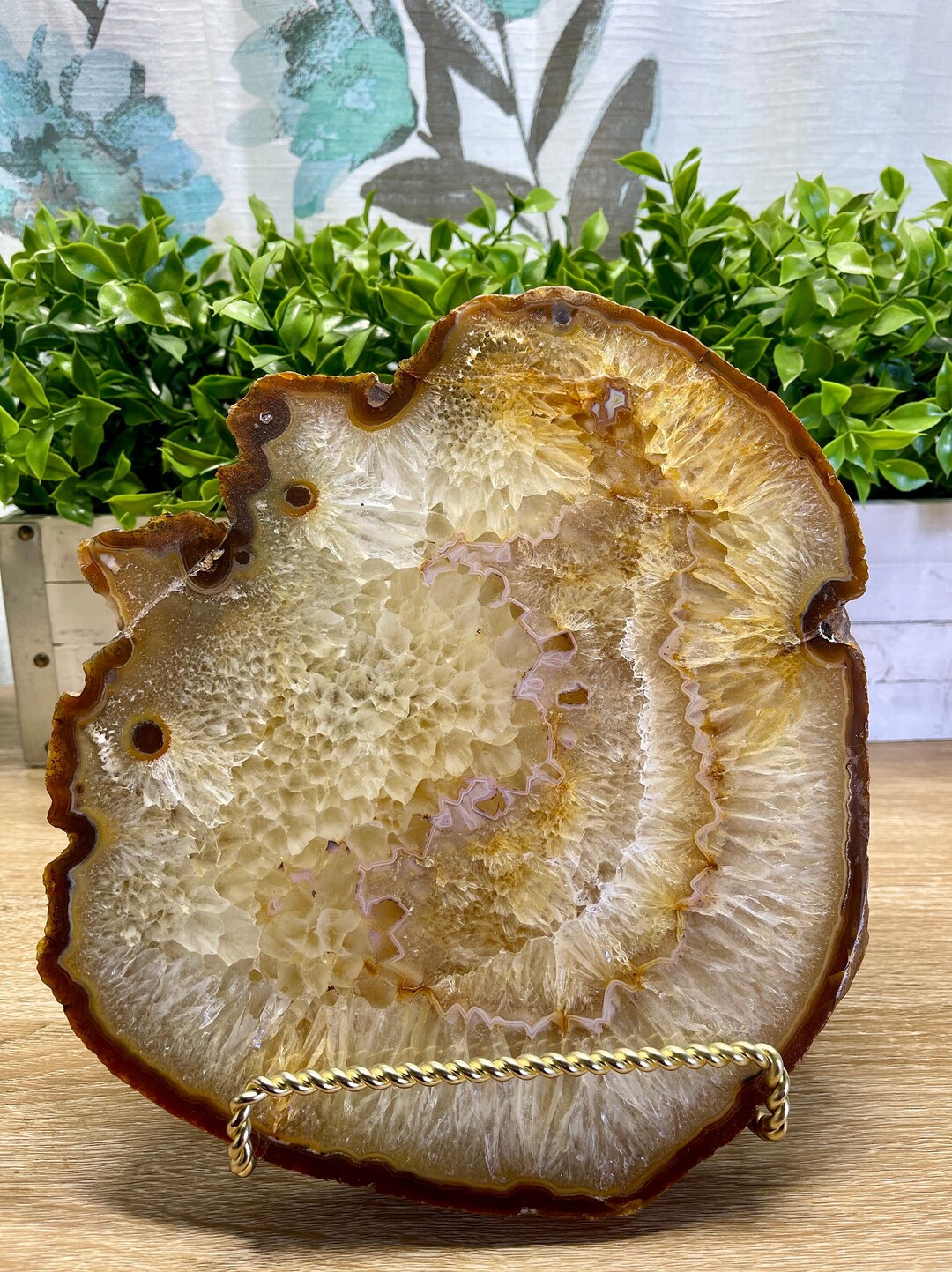 Extra Large Brazilian Citrine Agate Crystal Slice Slab - Etsy