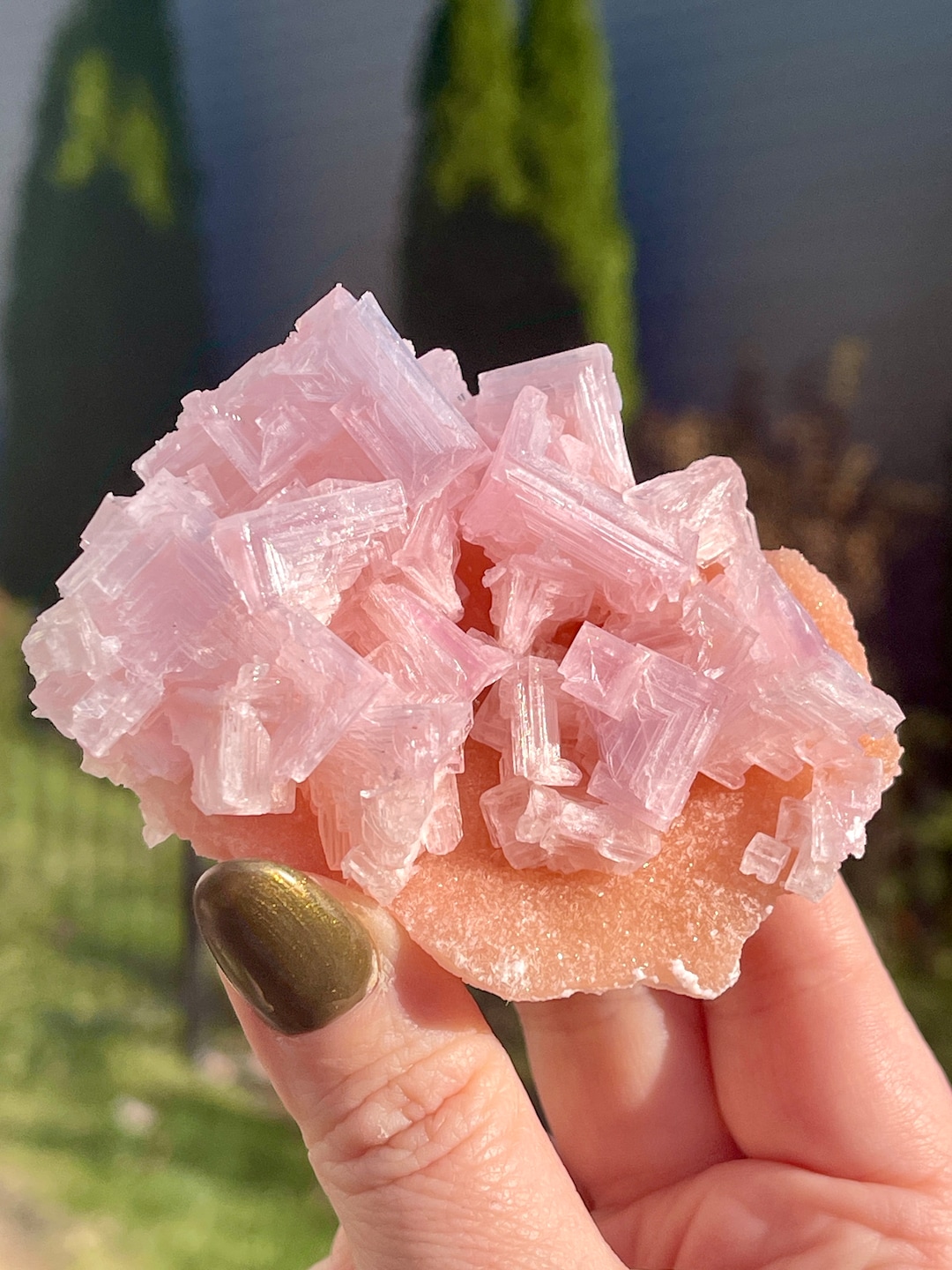 High Quality Bubblegum Pink Halite Crystal Cluster Owens Lake - Etsy