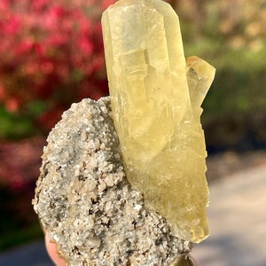 Nailhead Calcite on Dolomite Mineral Crystal Specimen Fletcher Mine ...