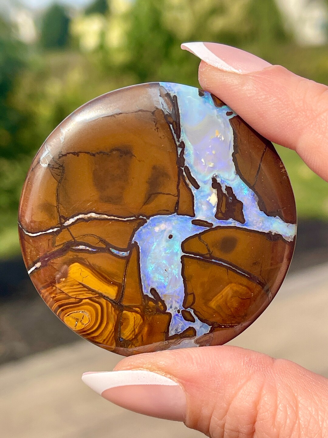 227 Carats Large High-quality Gem-grade Australian Boulder Opal Flat ...