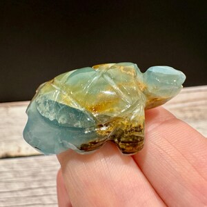 Aquatine Blue Banded Calcite Turtle Carvings - Etsy