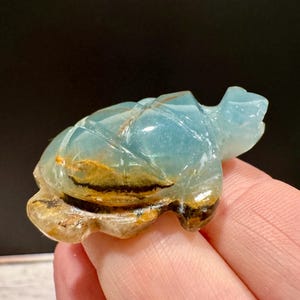Aquatine Blue Banded Calcite Turtle Carvings - Etsy