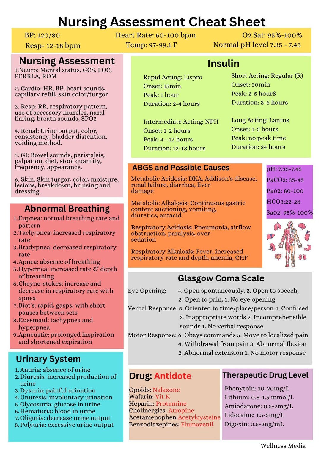 Nursing Assessment Cheat Sheet - Etsy