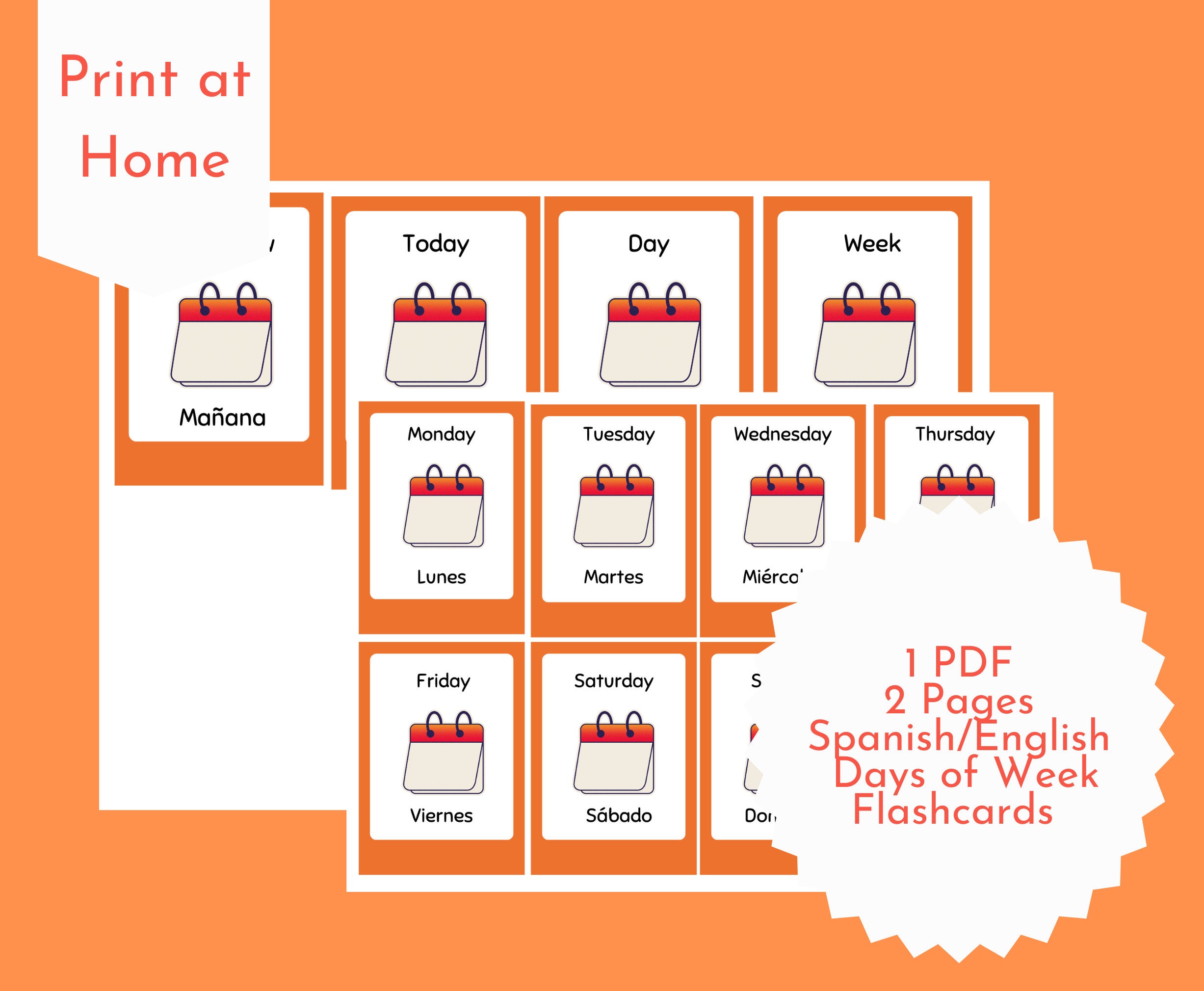 Bilingual Printable Flashcards: English and Spanish | Days of the Week ...
