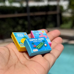 Miniature Pool Float Boxes for Dollhouse 1:12 Scale Summer Decor ...