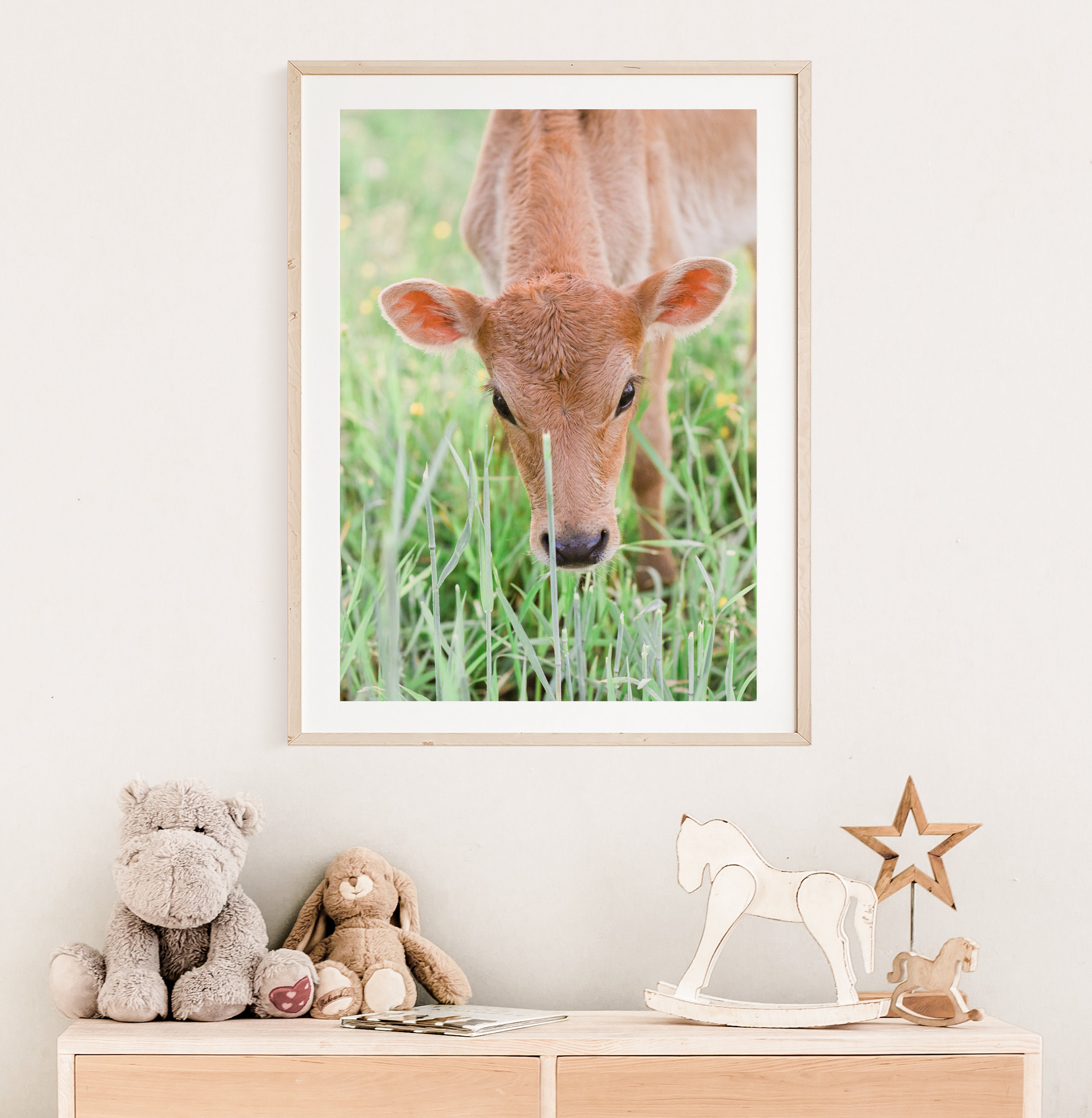 Baby Cow Calf Wall Art Nursery Decor Calf Photo Print Baby Cow Nursery ...