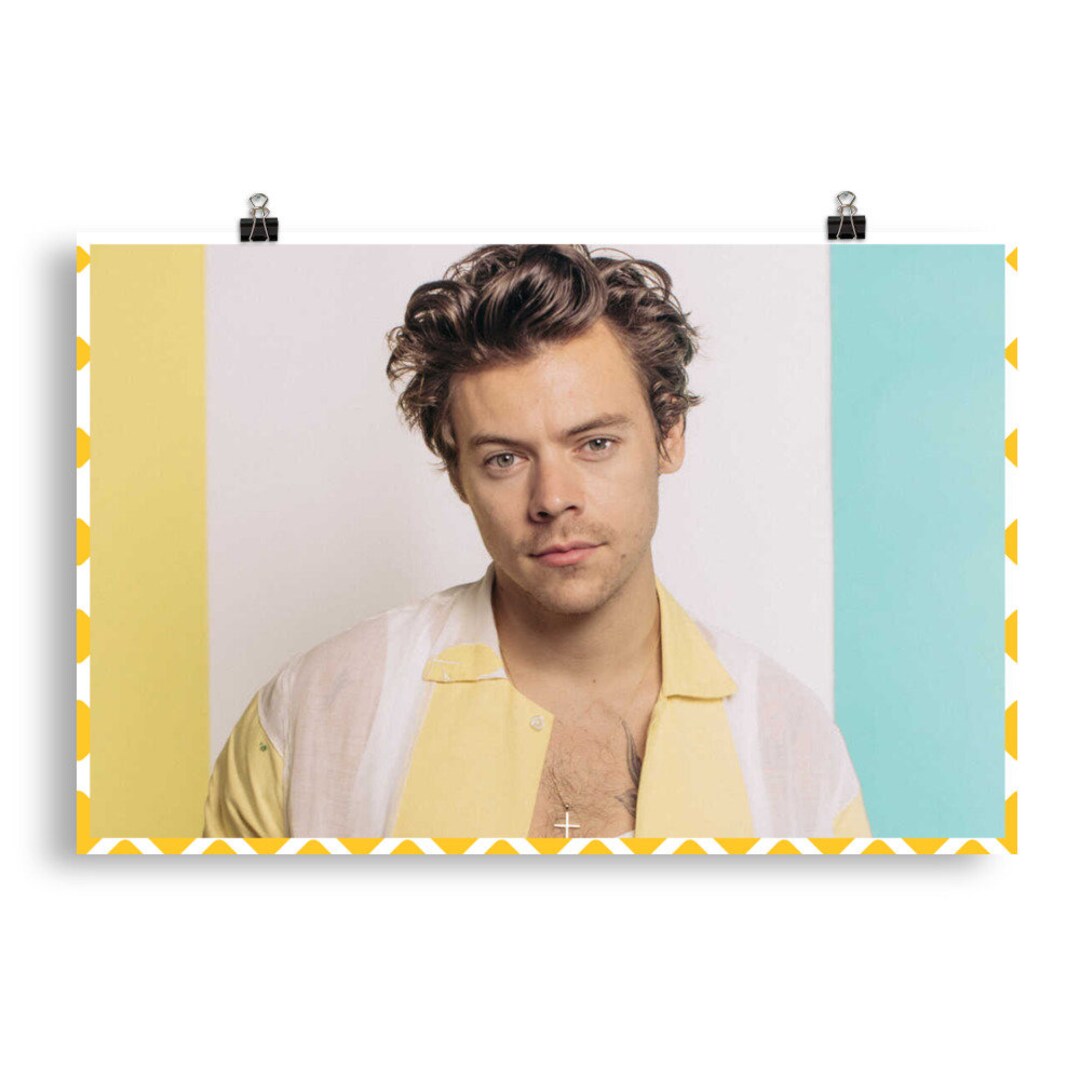 Harry Styles Poster Photo Print Style 3 - Etsy
