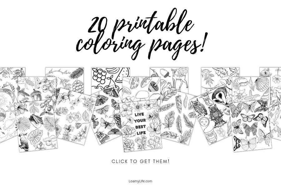 20 Printable Coloring Pages, Colouring Pdf, Digital Download - Etsy ...