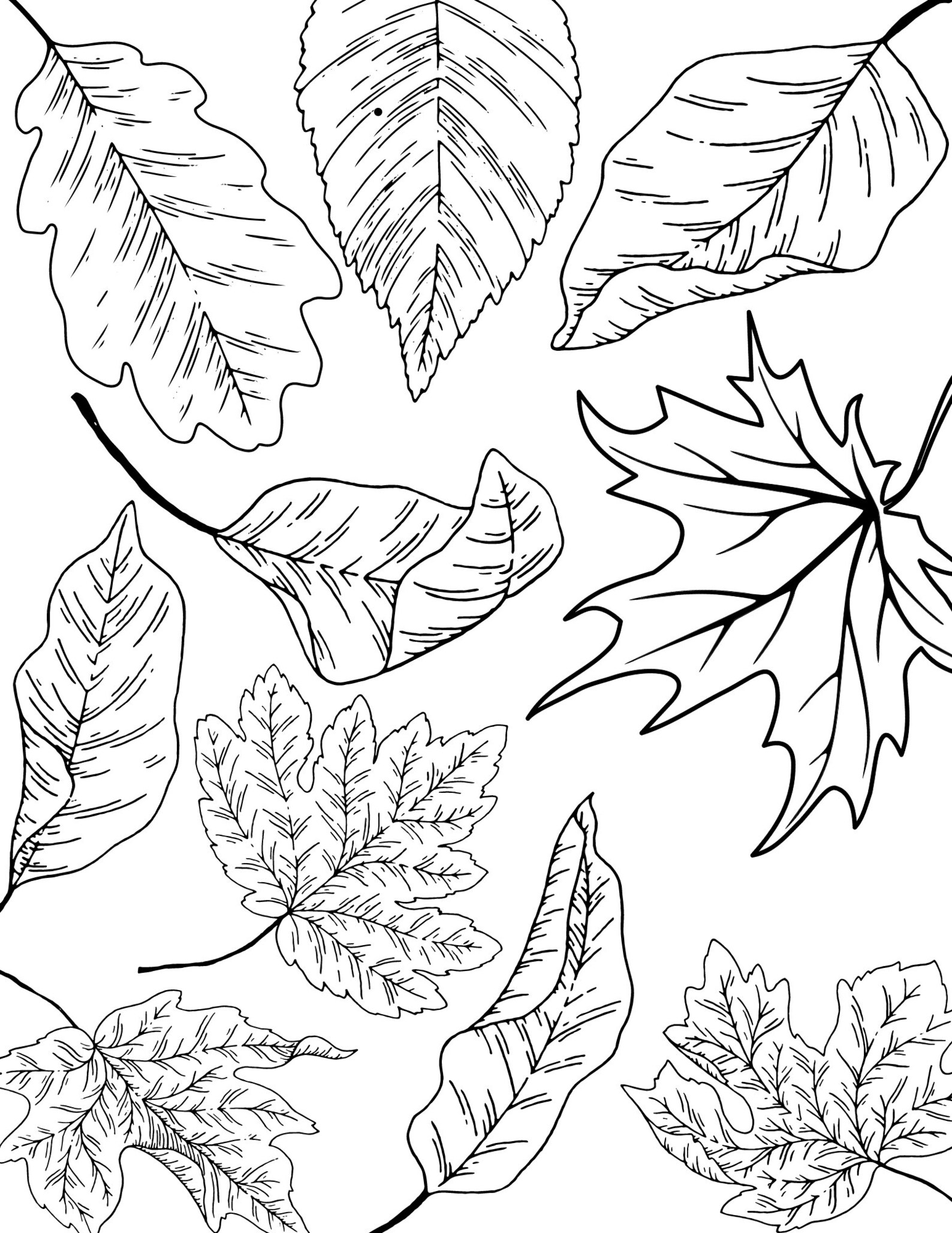 20 Printable Coloring Pages, Colouring Pdf, Digital Download - Etsy