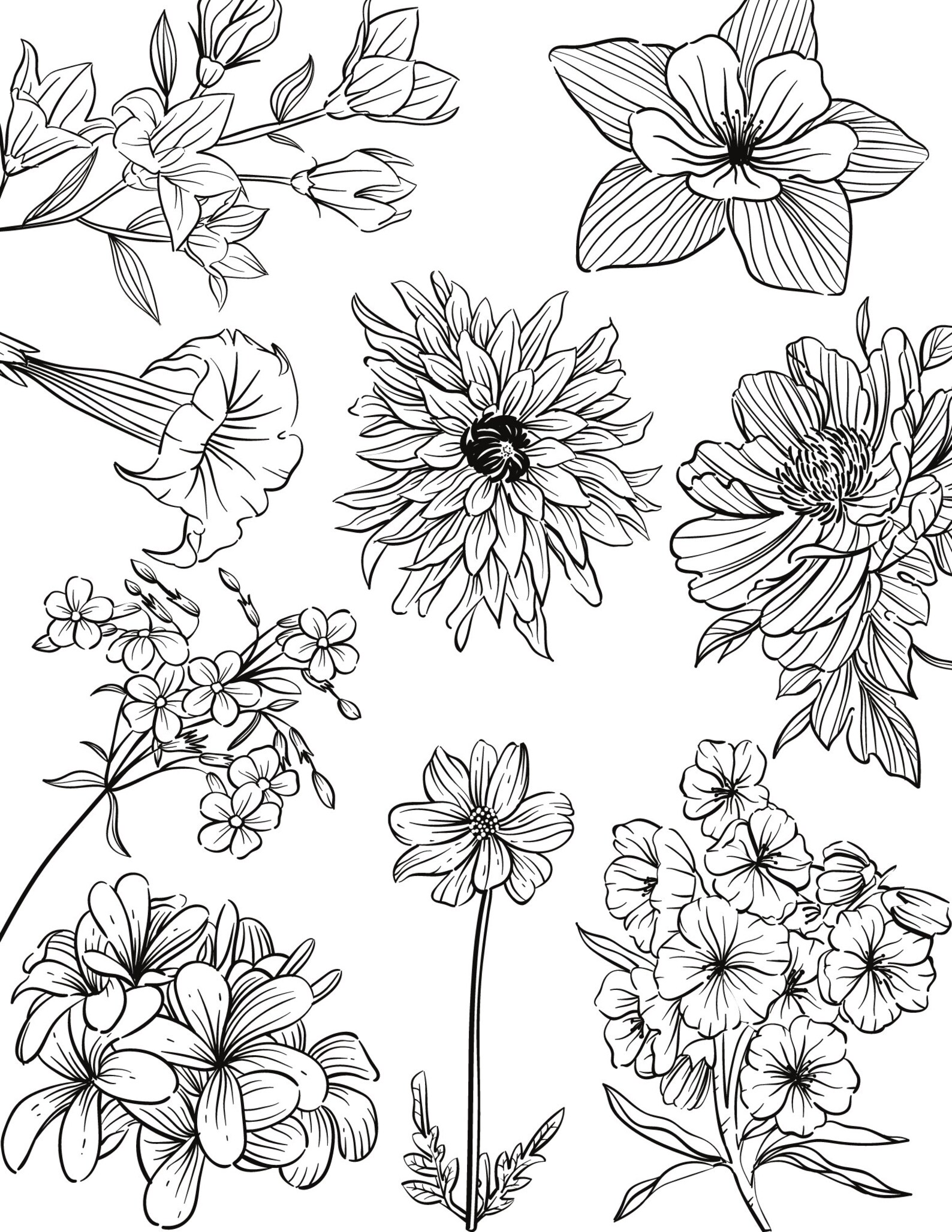 20 Printable Coloring Pages, Colouring Pdf, Digital Download - Etsy
