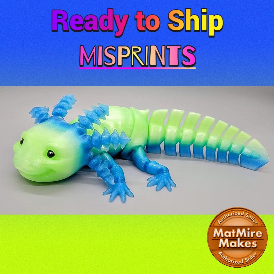 Ready to Ship Misprint Toy 3D Printed Sensory Fidget - Etsy