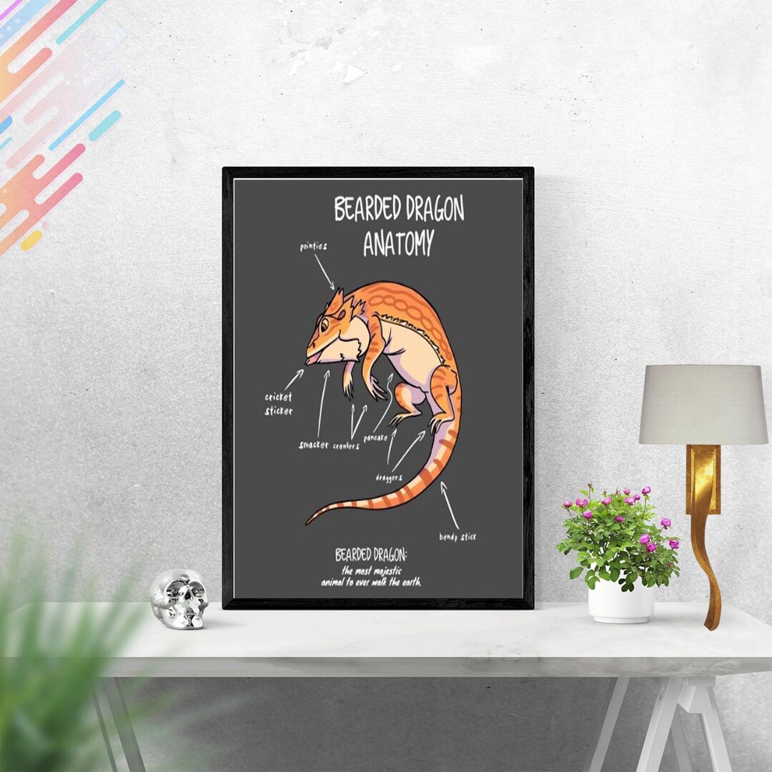 Bearded Dragon Anatomy Poster - Etsy