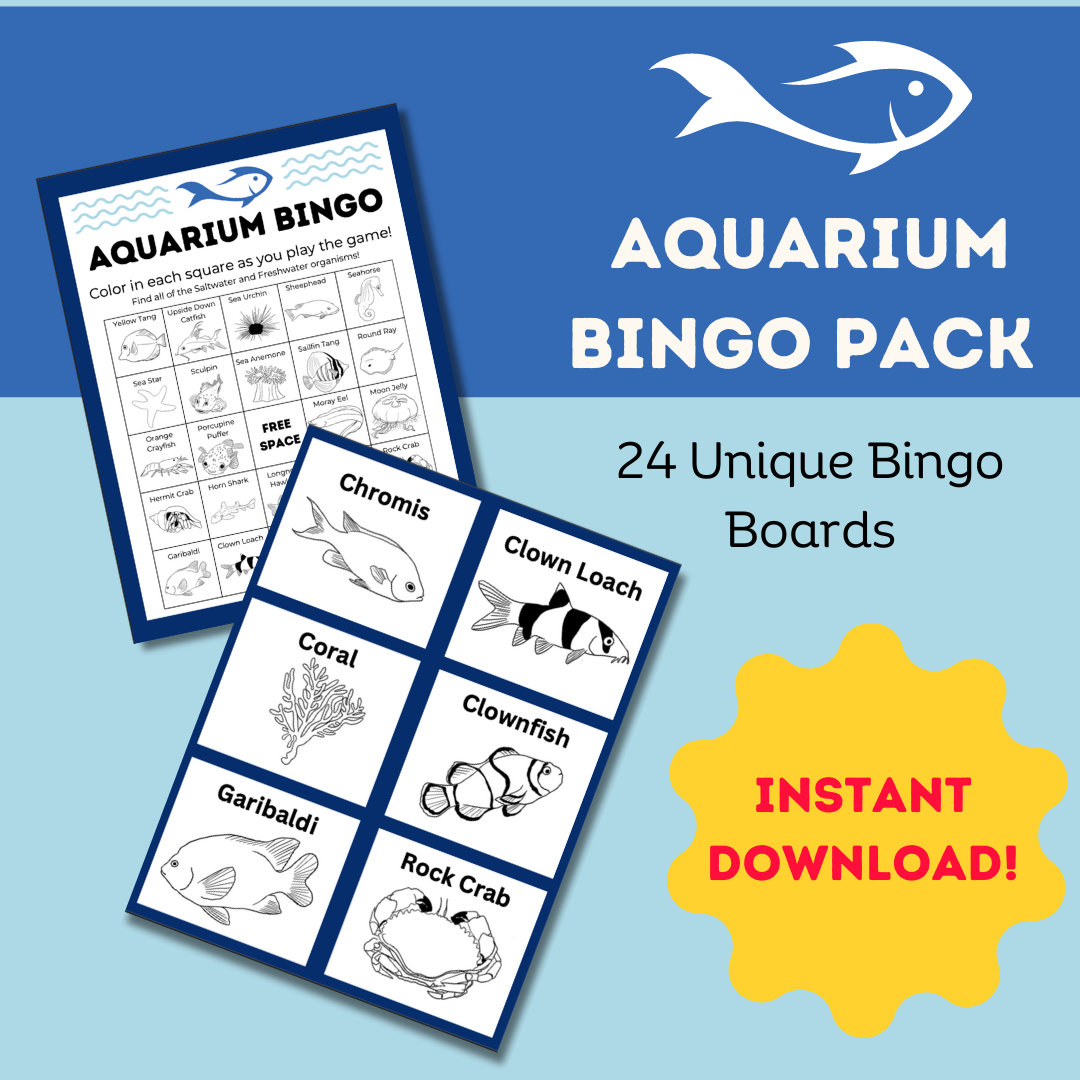 Aquarium Themed BINGO Pack / Classroom Activity / Field Trip Activity ...