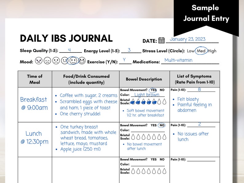 IBS Food Journal, Daily IBS Symptom Diary, Irritable Bowel Syndrome ...