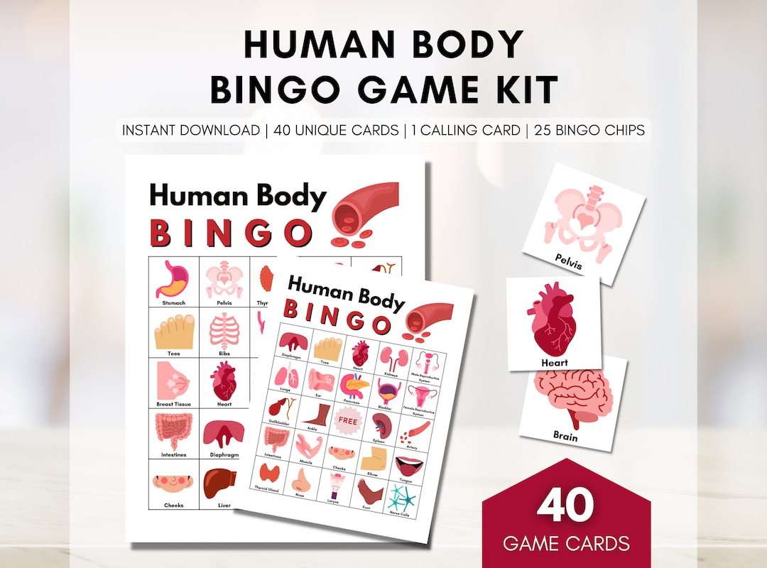 Human Body Anatomy BINGO Game, Body Organs, Classroom Education ...