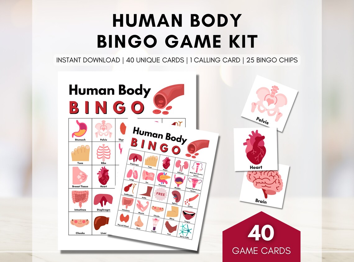 Human Body Anatomy BINGO Game, Body Organs, Classroom Education ...