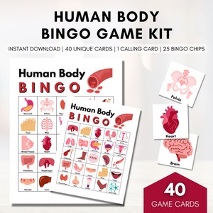 Human Body Anatomy BINGO Game, Body Organs, Classroom Education ...