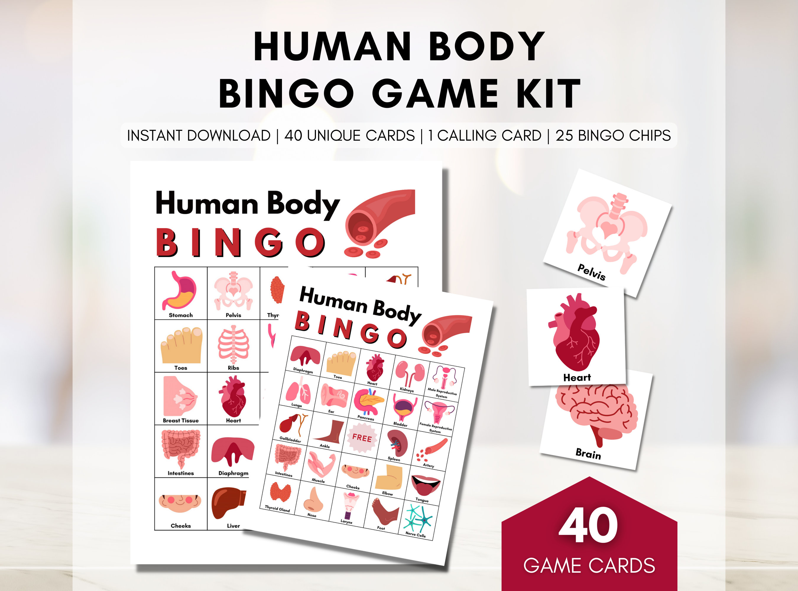 Juego de BINGO de anatomía del cuerpo humano, órganos del cuerpo ...