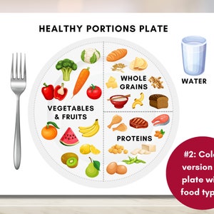 Healthy Portions Plate, Visual Nutrition Eating Guide, Food Portion ...
