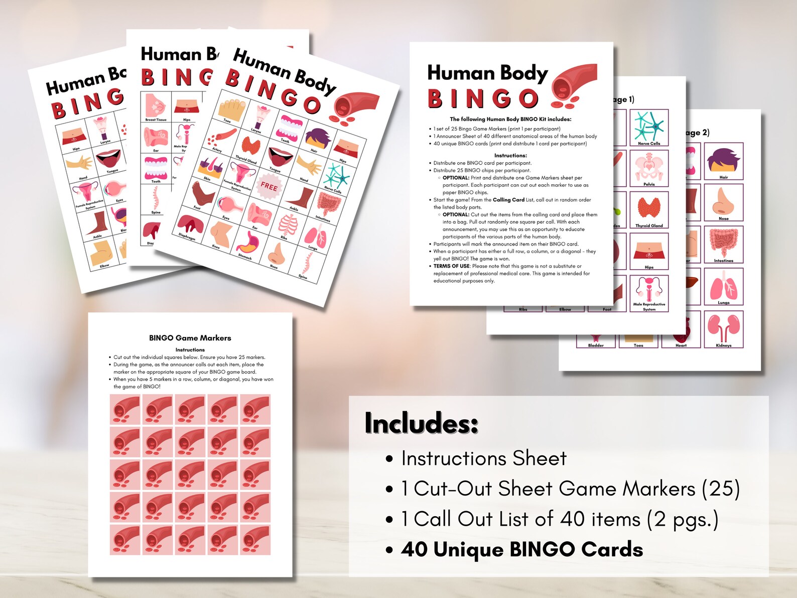 Human Body Anatomy BINGO Game Body Organs Classroom - Etsy