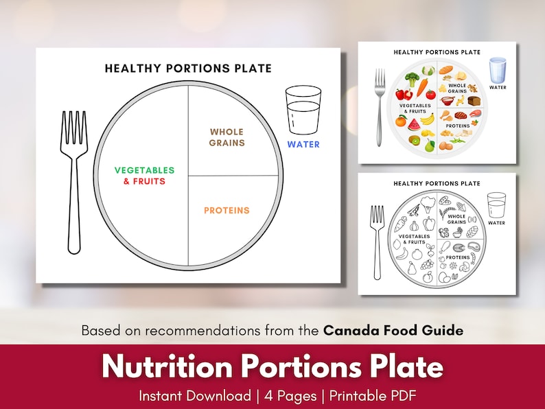 Healthy Portions Plate Visual Nutrition Eating Guide Food - Etsy