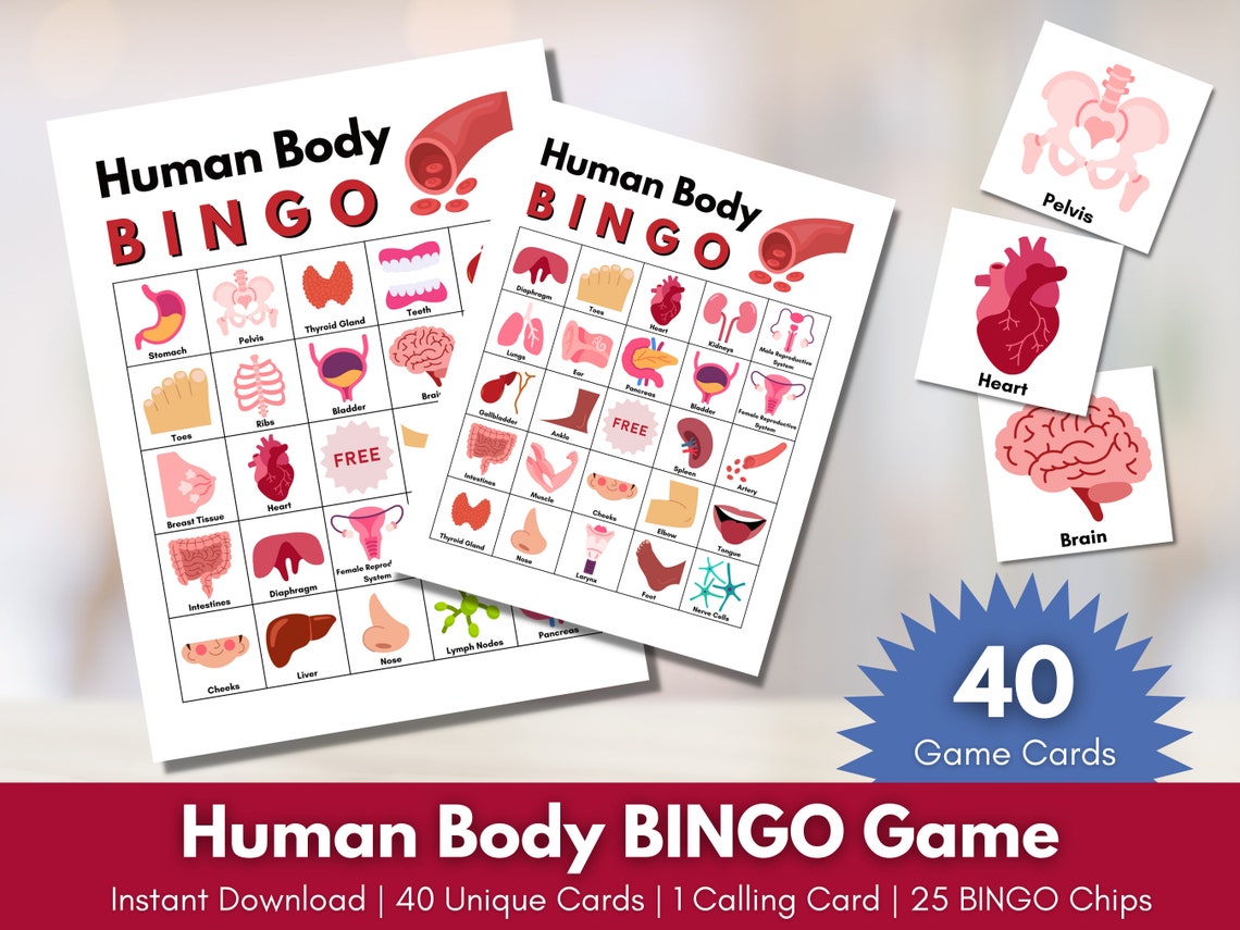 Human Body Anatomy BINGO Game Body Organs Classroom - Etsy