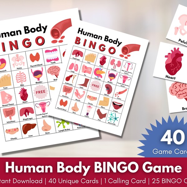 Human Anatomy Printable - Etsy