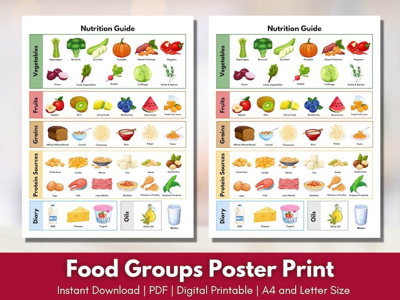 Food Groups Poster Print Nutrition Guide Worksheet Patient - Etsy