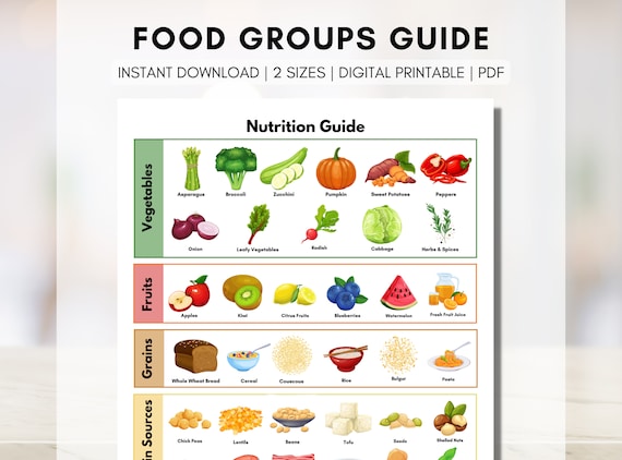 Food Groups Worksheet