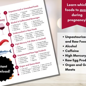 Pregnancy Food Guide, Pregnancy Nutrition List, Recommended Foods ...