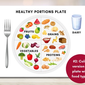 Nutrition Plate, Healthy Portions Plate, Visual Eating Guide, Learning ...
