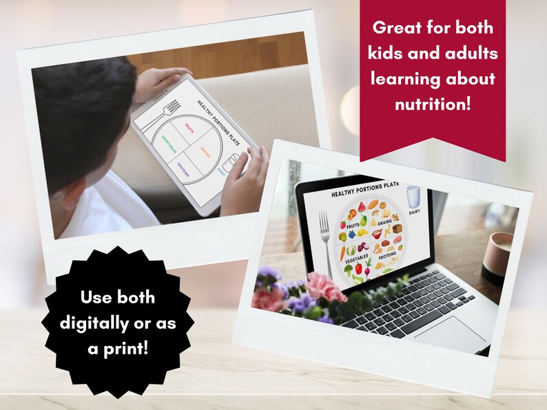 Nutrition Plate, Healthy Portions Plate, Visual Eating Guide, Learning ...