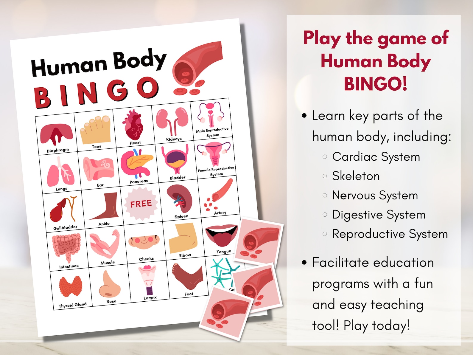 Human Body Anatomy BINGO Game Body Organs Classroom - Etsy